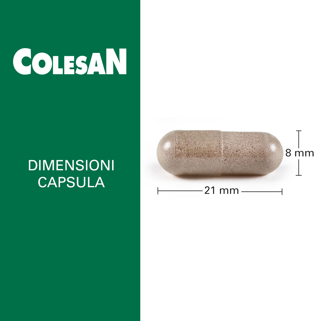 Prexosan: favorisce la regolarità della pressione - Naturando